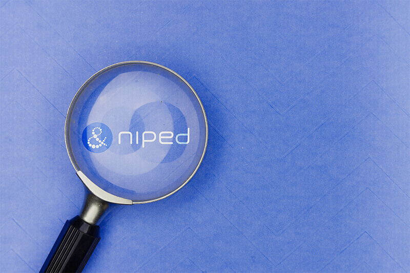 De gezondheid van Nederland in 2021 - Niped